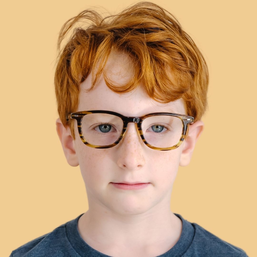 Alex Sunglasses - Jonas Paul Eyewear